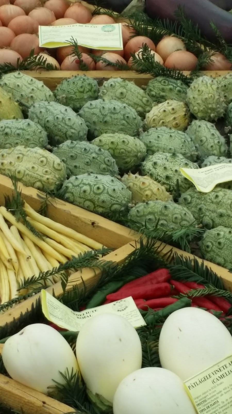 Legume exotice cultivate în România