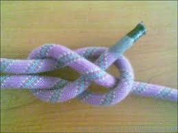 Pearl Of Recreation: Tali