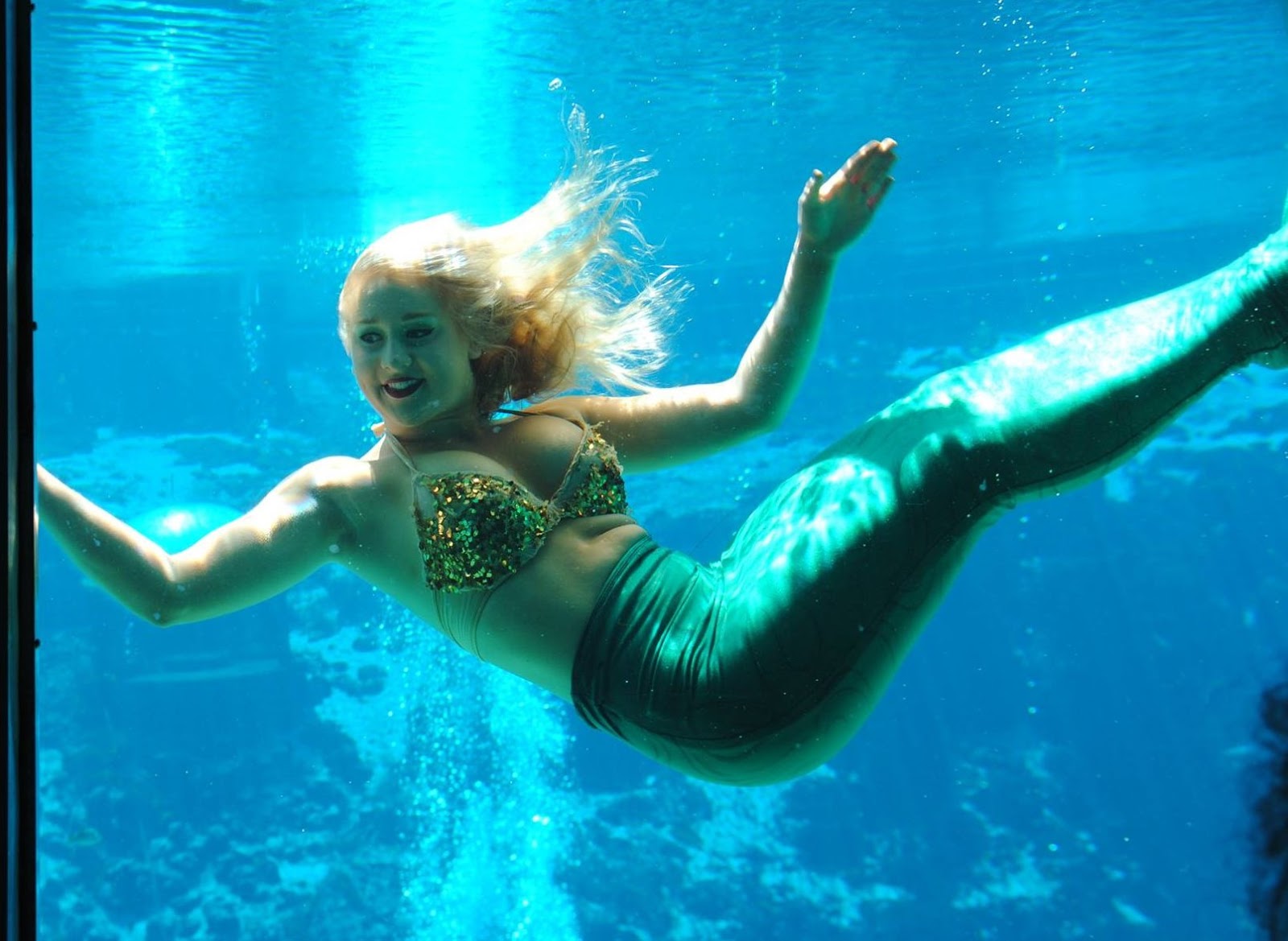 SewTawdry: Spring Break for Seniors