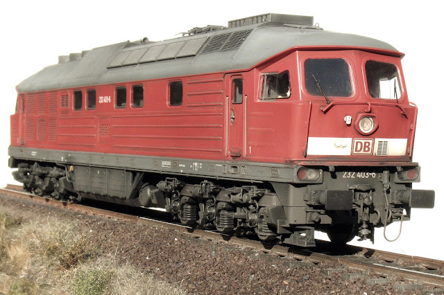 becasse weathering: 2011