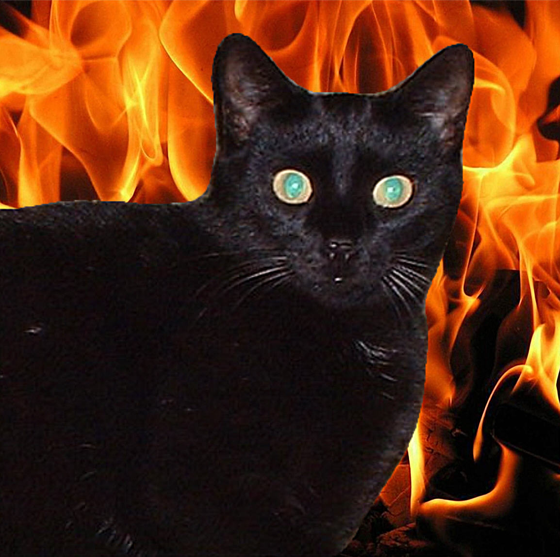 Gabriela: The Demon Cat Series, Pt. 2