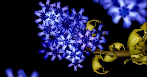 Pinzellades al món: Flors humanes: fotografies de Cecelia Webber ...