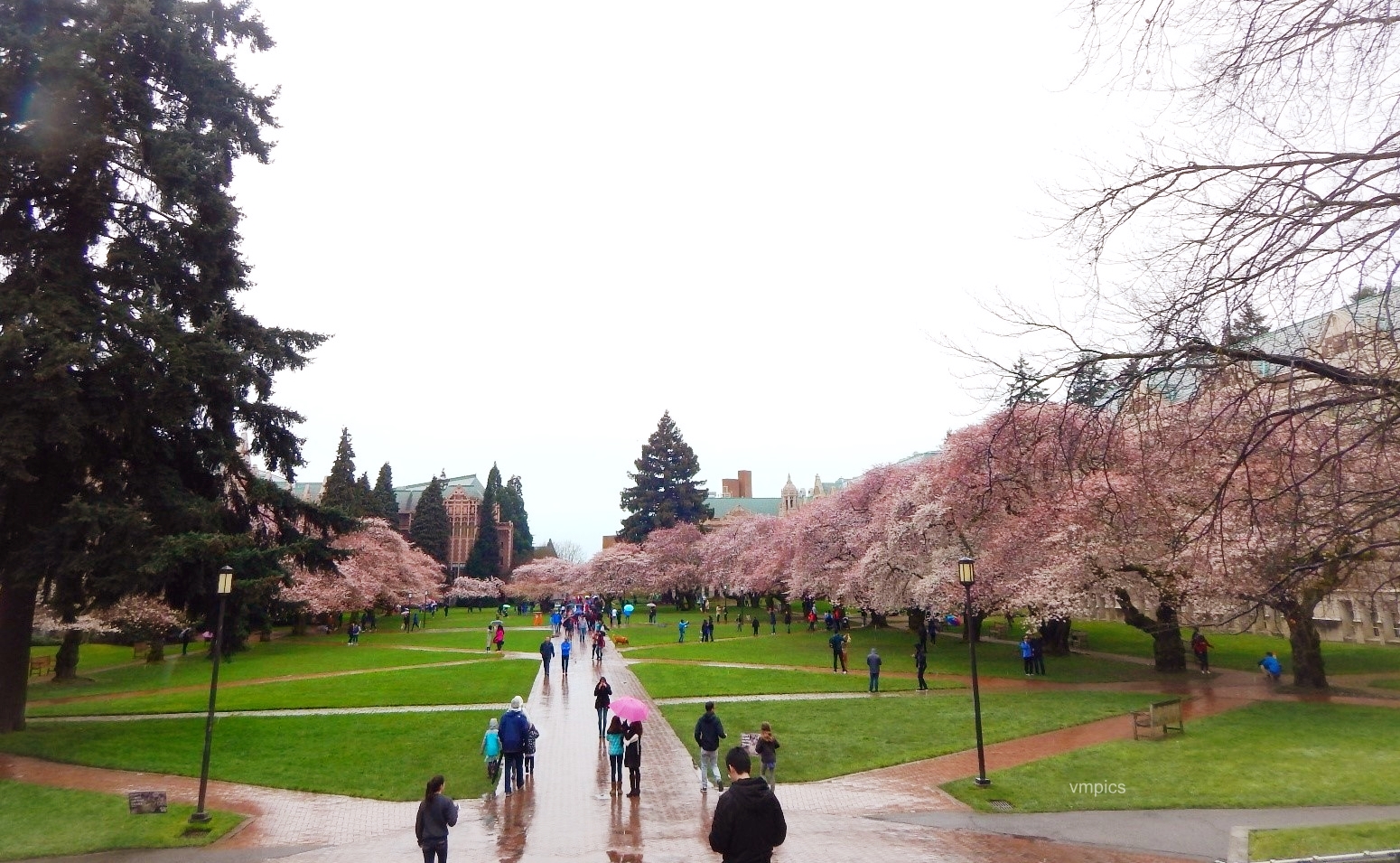 Spring is here in Seattle!