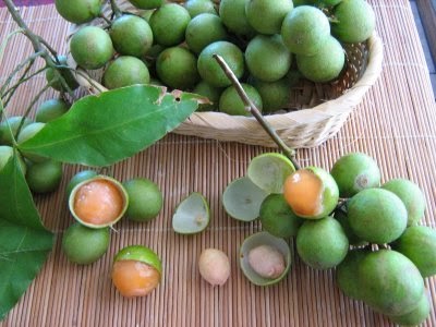 Socialista Sur Noticias: Mamón propiedades curativas y medicinales