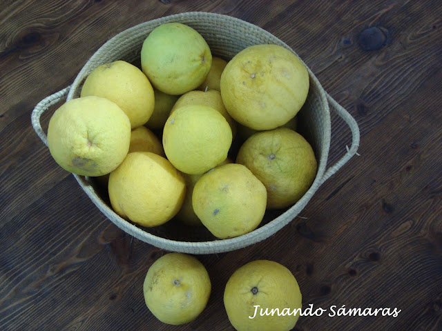 Juntando sámaras: JUGO DE HESPERIDIO