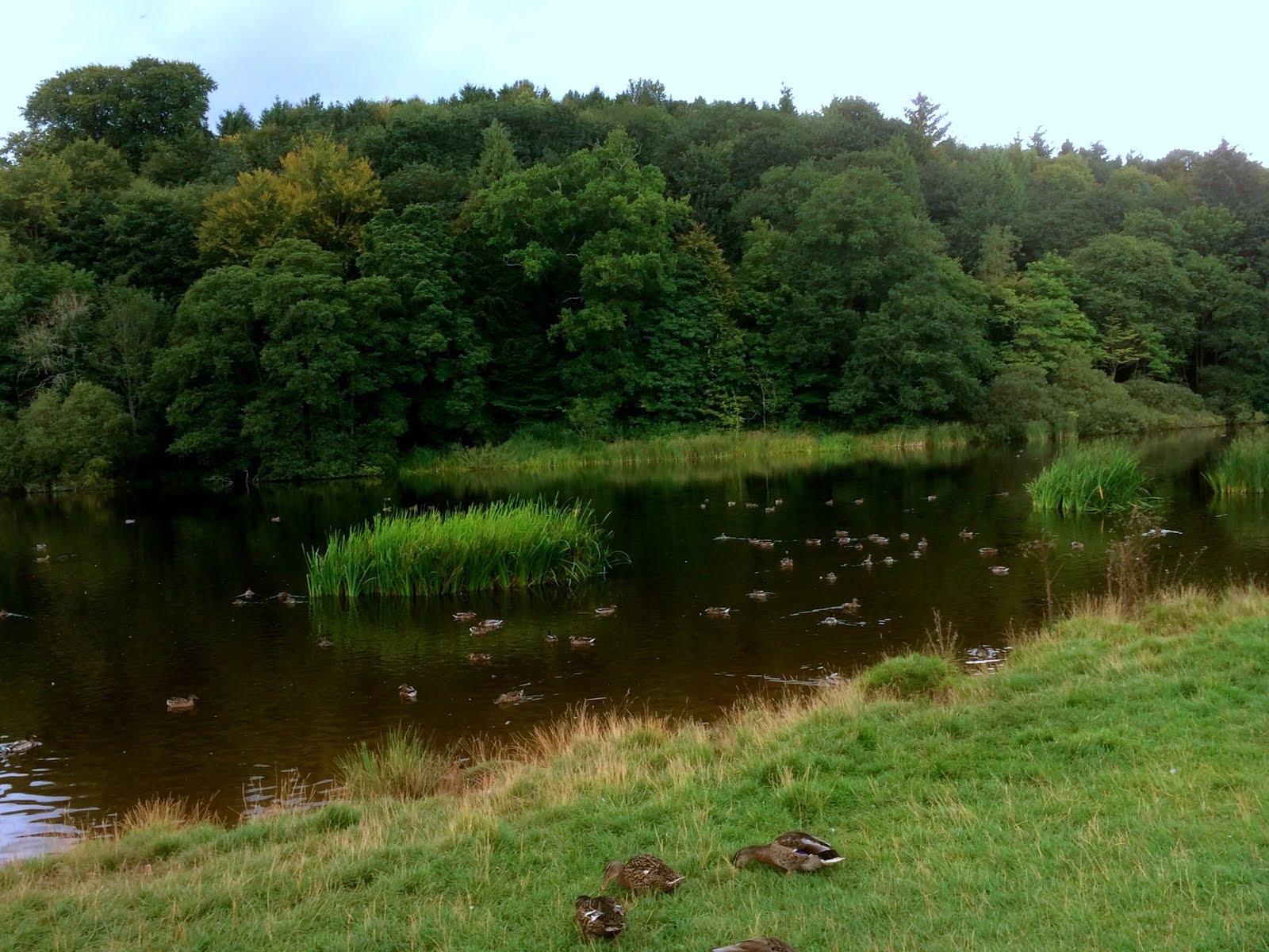 Days out in the Borders : Duns Castle