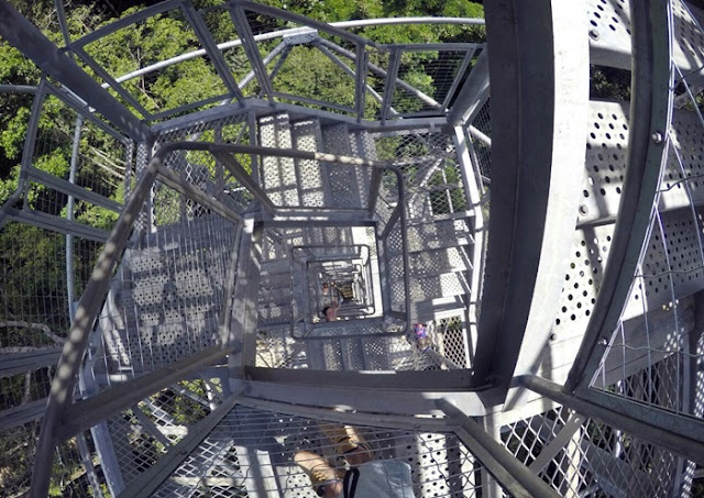 Uma visita ao Musa, o Museu da Amazônia em Manaus [Reserva Florestal ...