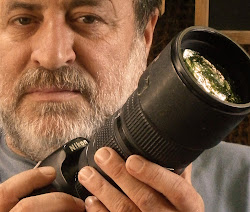 Paso a paso: Cornudo y apaleado