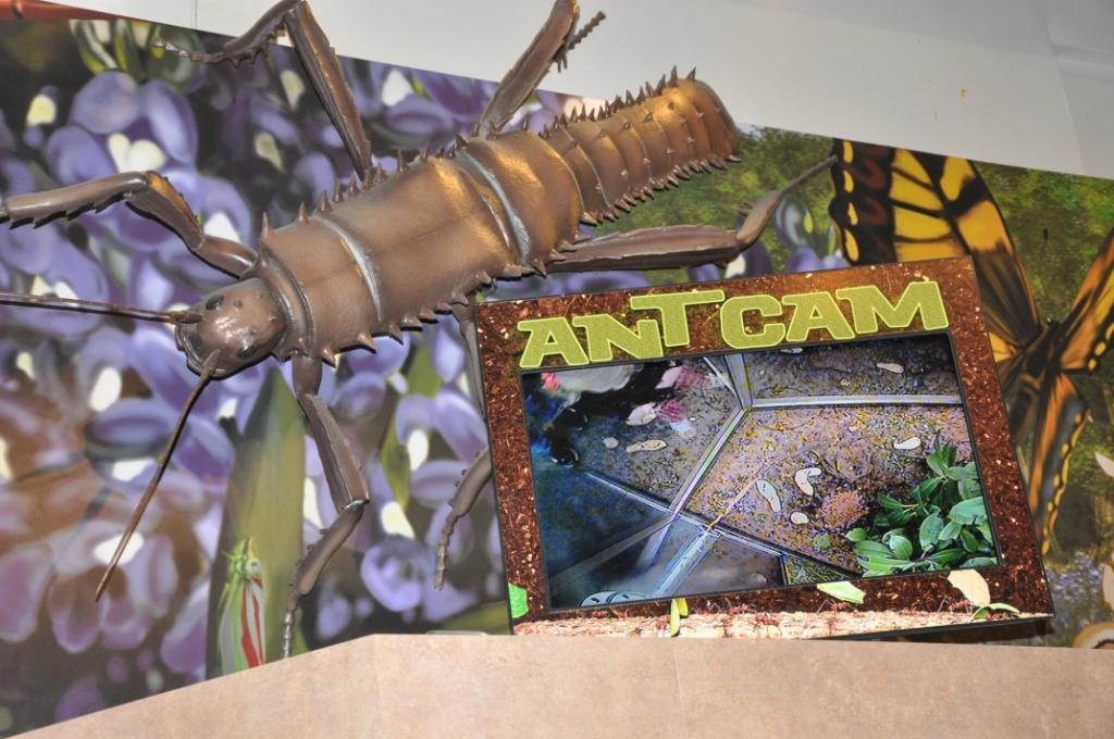 Savor The Days: Audubon Insectarium in New Orleans