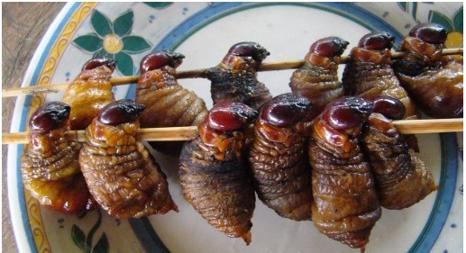 platos de la amazonia