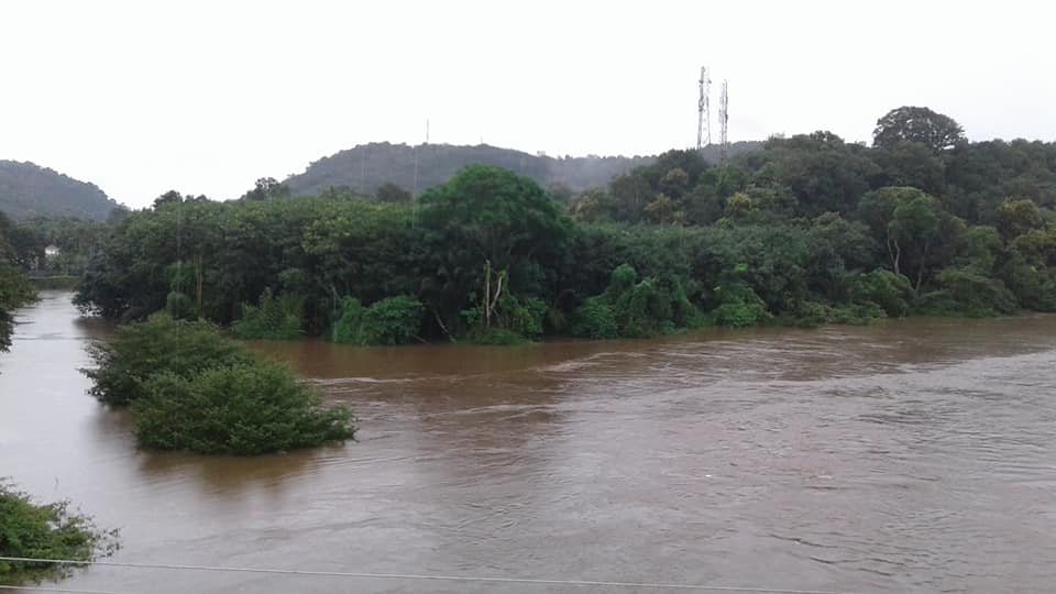 Heavy Rain - Pamba River Overflows in Vadasserikkara, Ranni [Pictures]
