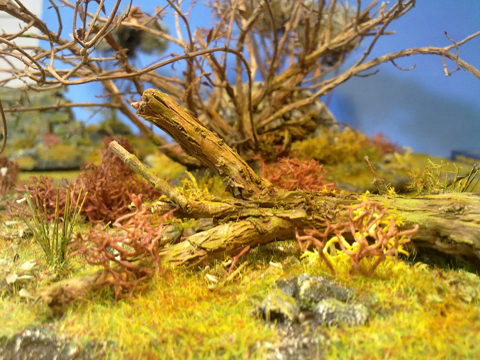 Taller del Sargento Pauix: 2011