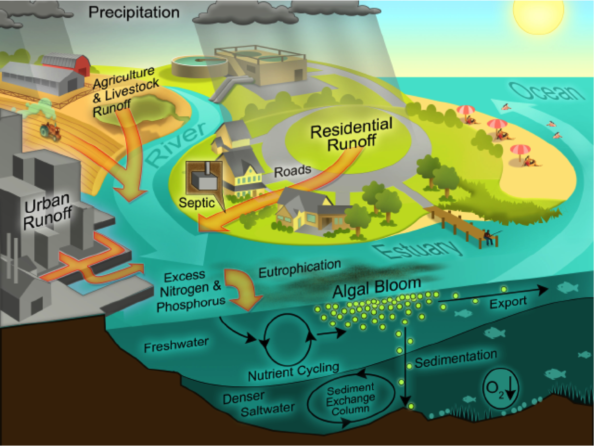 The Fisheries Blog: Hypoxia