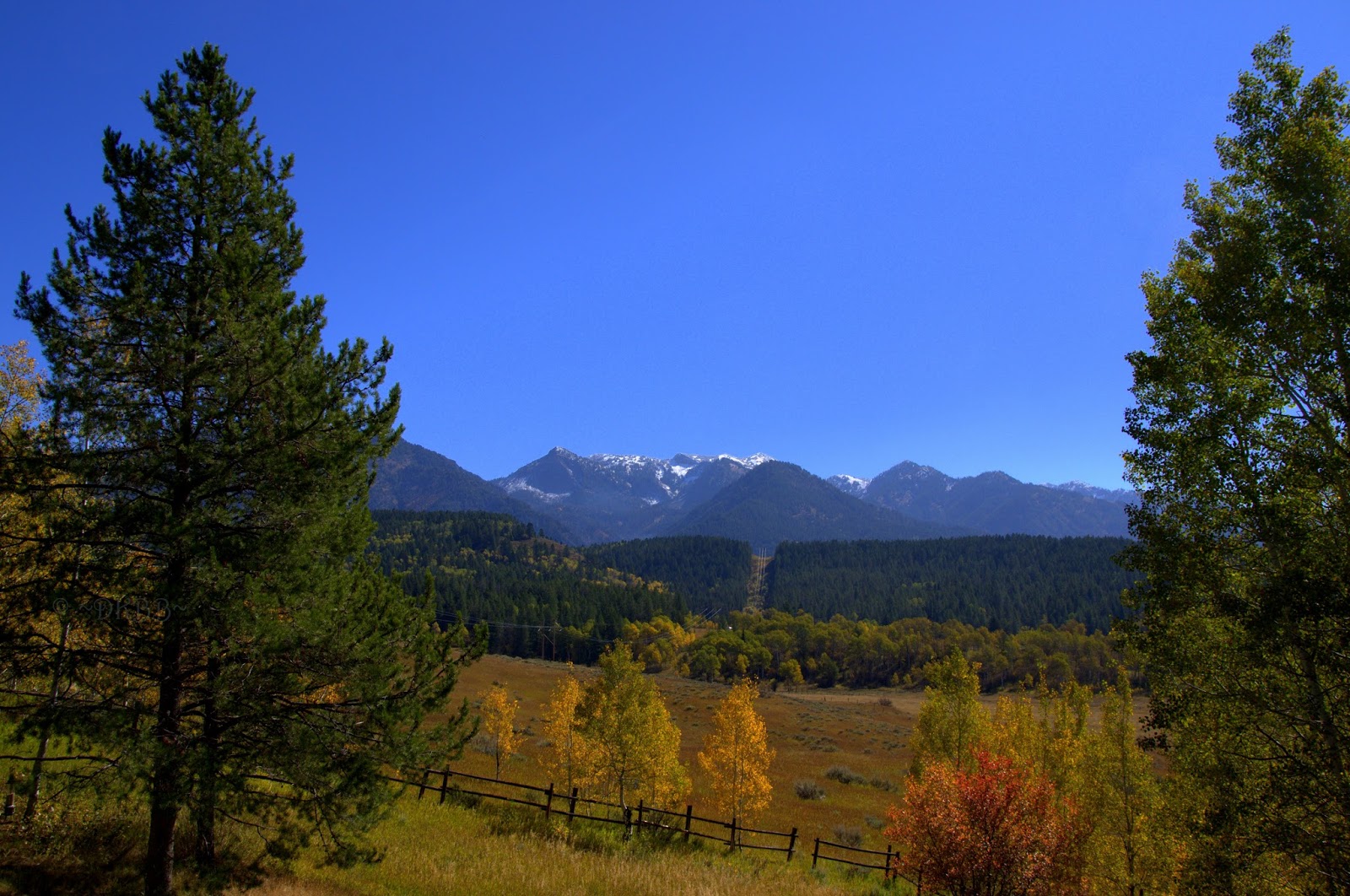 The View From Our Deck: The September 2016 Views