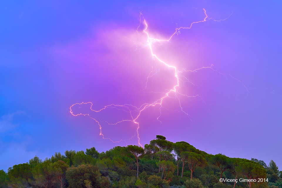 Naturaleza y Luz: Un rayo de luz