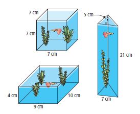 816 Math 2010: Hanna's Volume Scribe Post