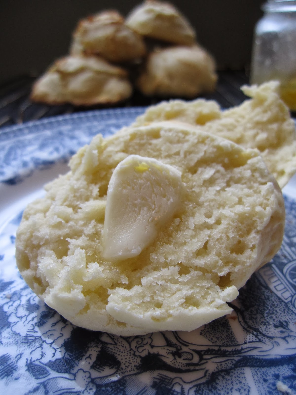 Plain Biscuits | A Taste of Madness