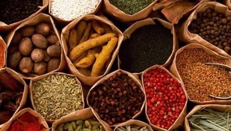 Pengertian Simplisia Nabati, Hewani dan Mineral - Farmakepoo