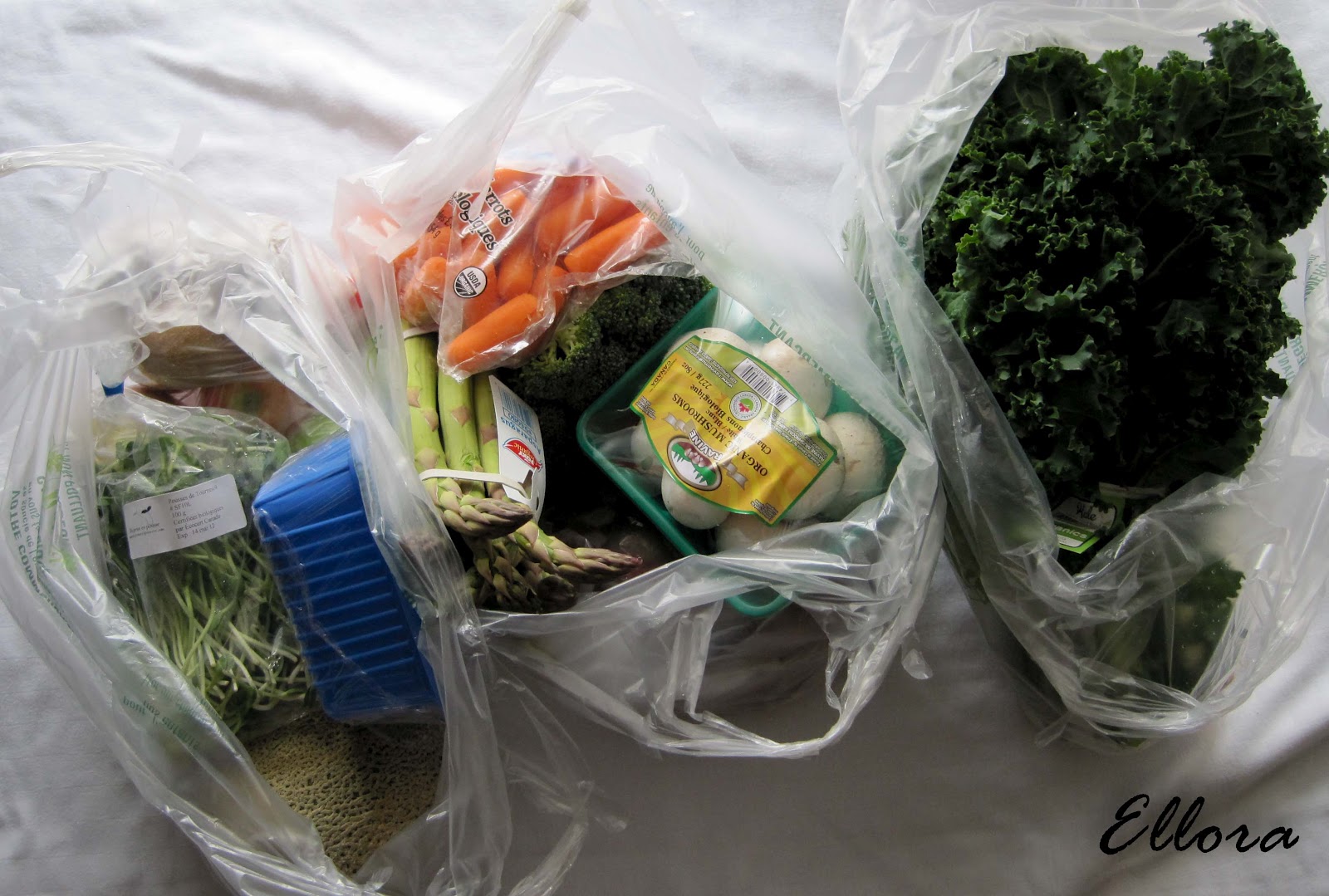 Retour vers la santé: Paniers bio : 1ère livraison