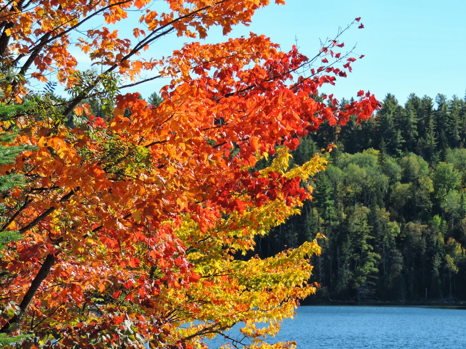 Travel with Kevin and Ruth: Elliot Lake, Ontario