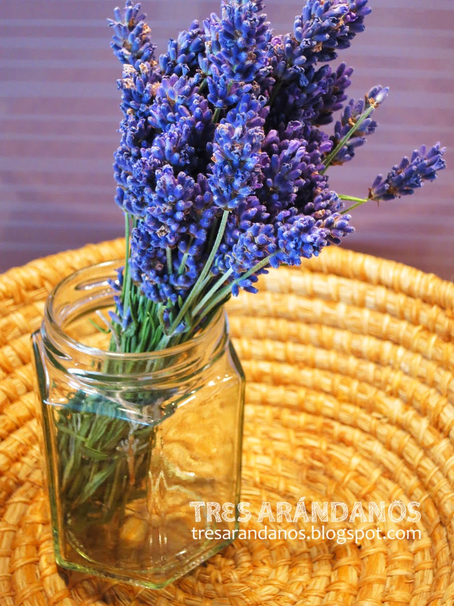 Lavanda, lavandín y espliego...