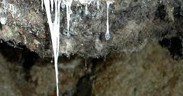 Real Monstrosities: Snottite