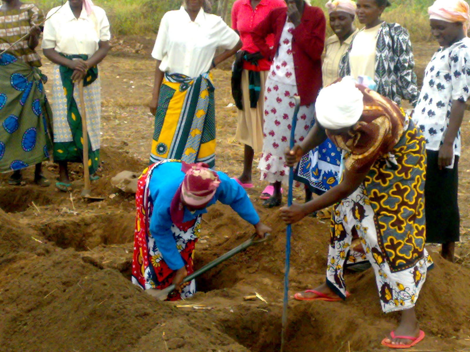 Development Knowledge Articles: MAIZE PRODUCTION USING MODIFIED ZAI PITS