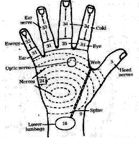 Mahato: ACUPRESSURE: THERAPY AND PRACTICE