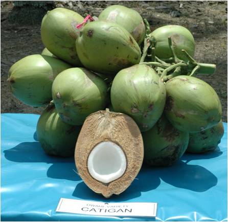 Talking about Passions