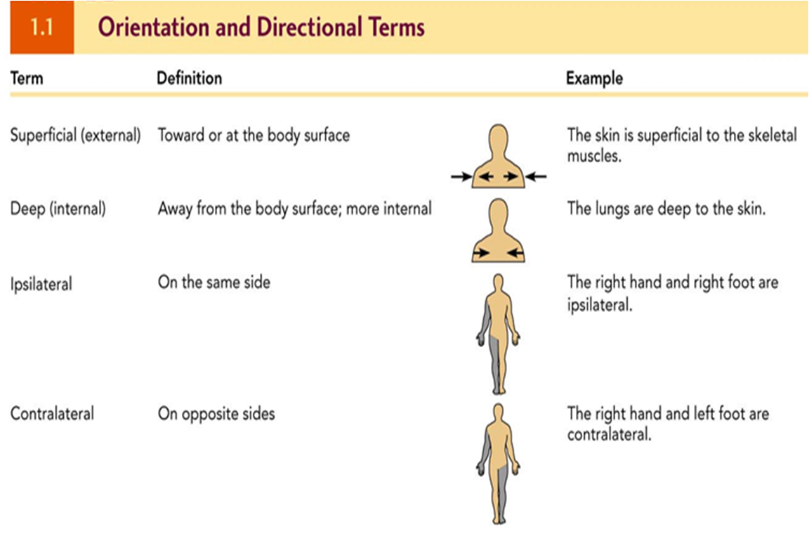 ALL YOU NEED TO ENJOY MEDICINE: 3/18/12 - 3/25/12