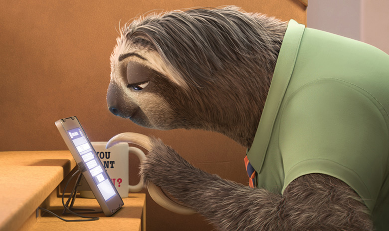 Conoce a Flash de Zootopía en la vida real - VayaBaya