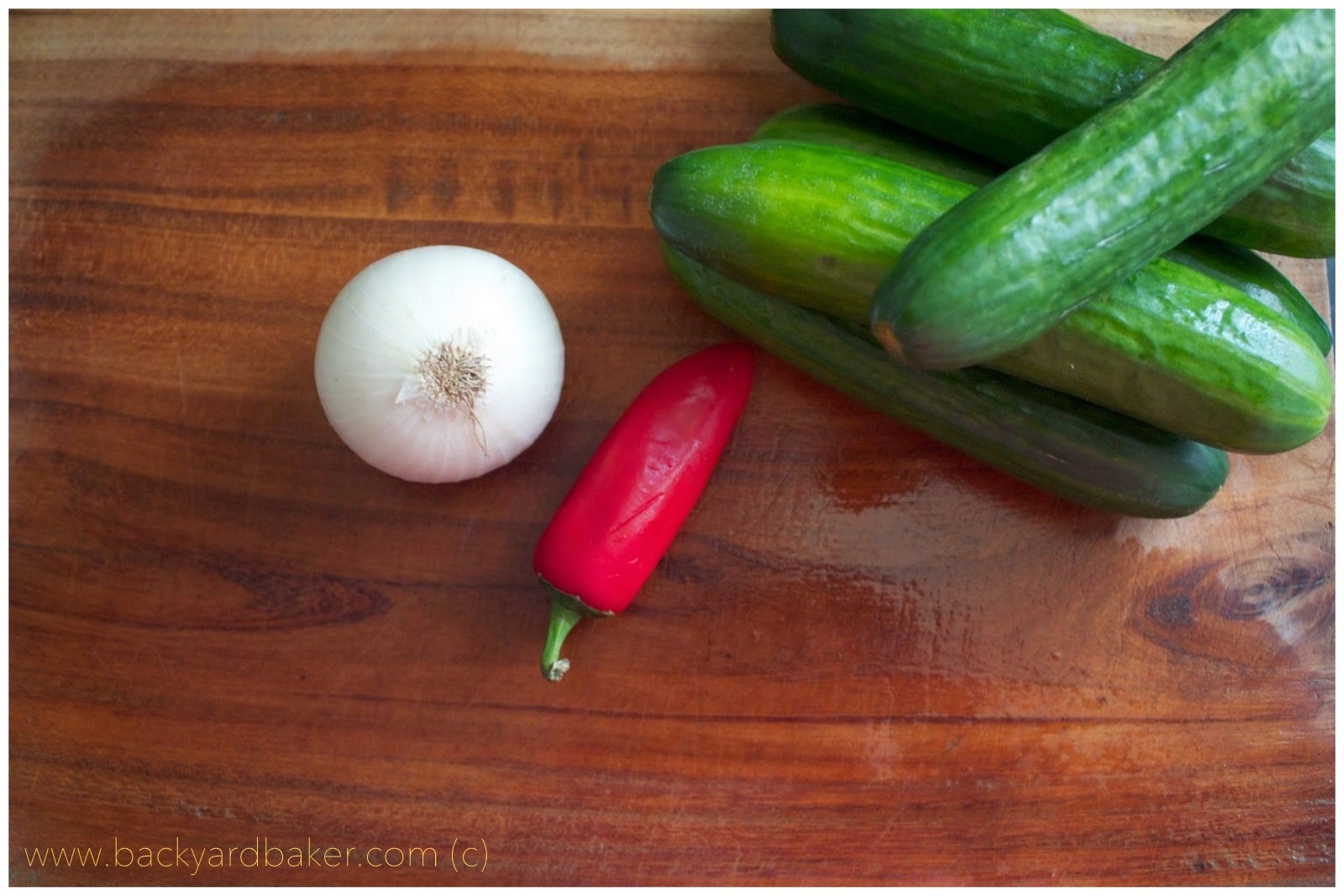 Condiment Series | Cucumber Relish | Relish
