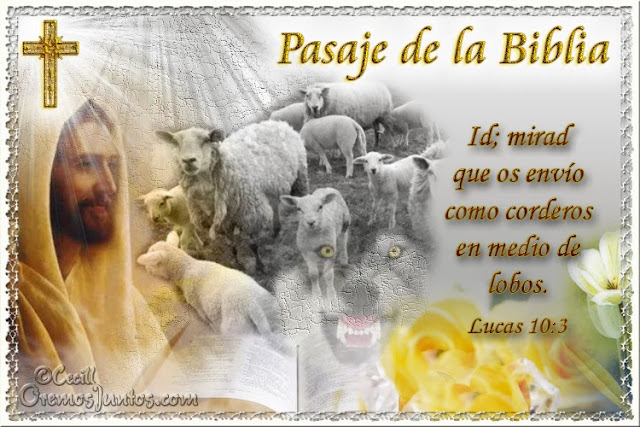 Vidas Santas: Santo Evangelio según san Lucas 10:3