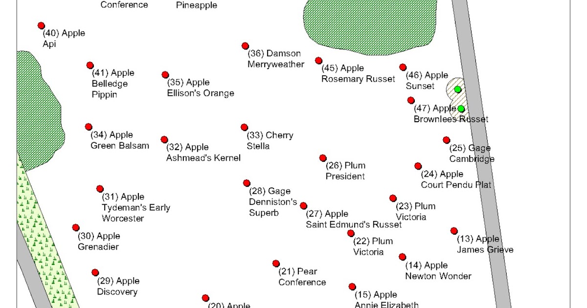 Bradwell Community Orchard: Tree Planting Layout