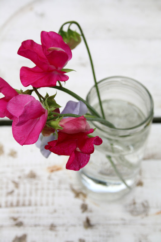 Madelief: Late June garden