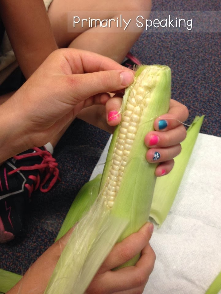 Corn-tastic Writing | Primarily Speaking