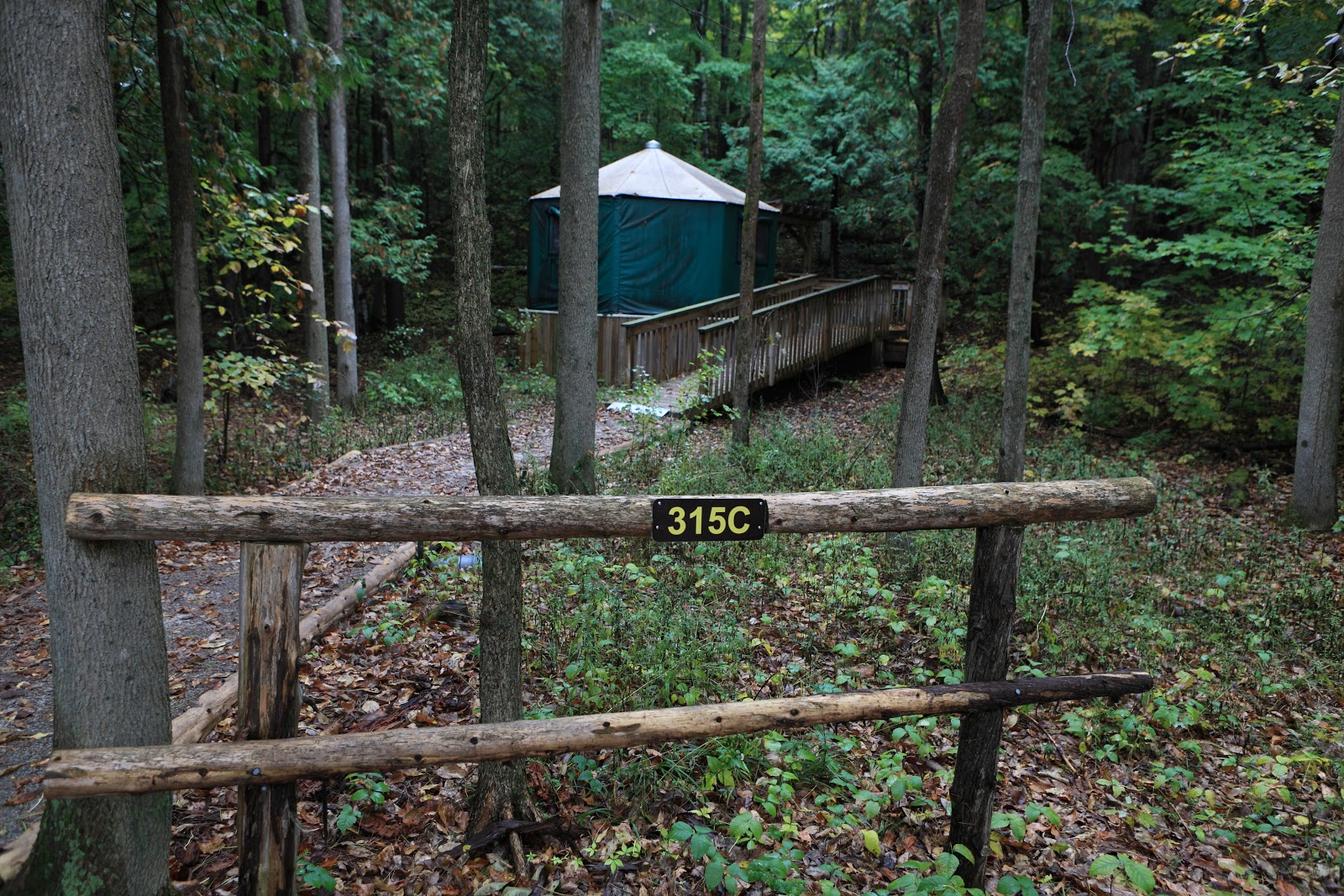 The Campsites: Charleston Lake Ontario Provincial Park, yurt 315C
