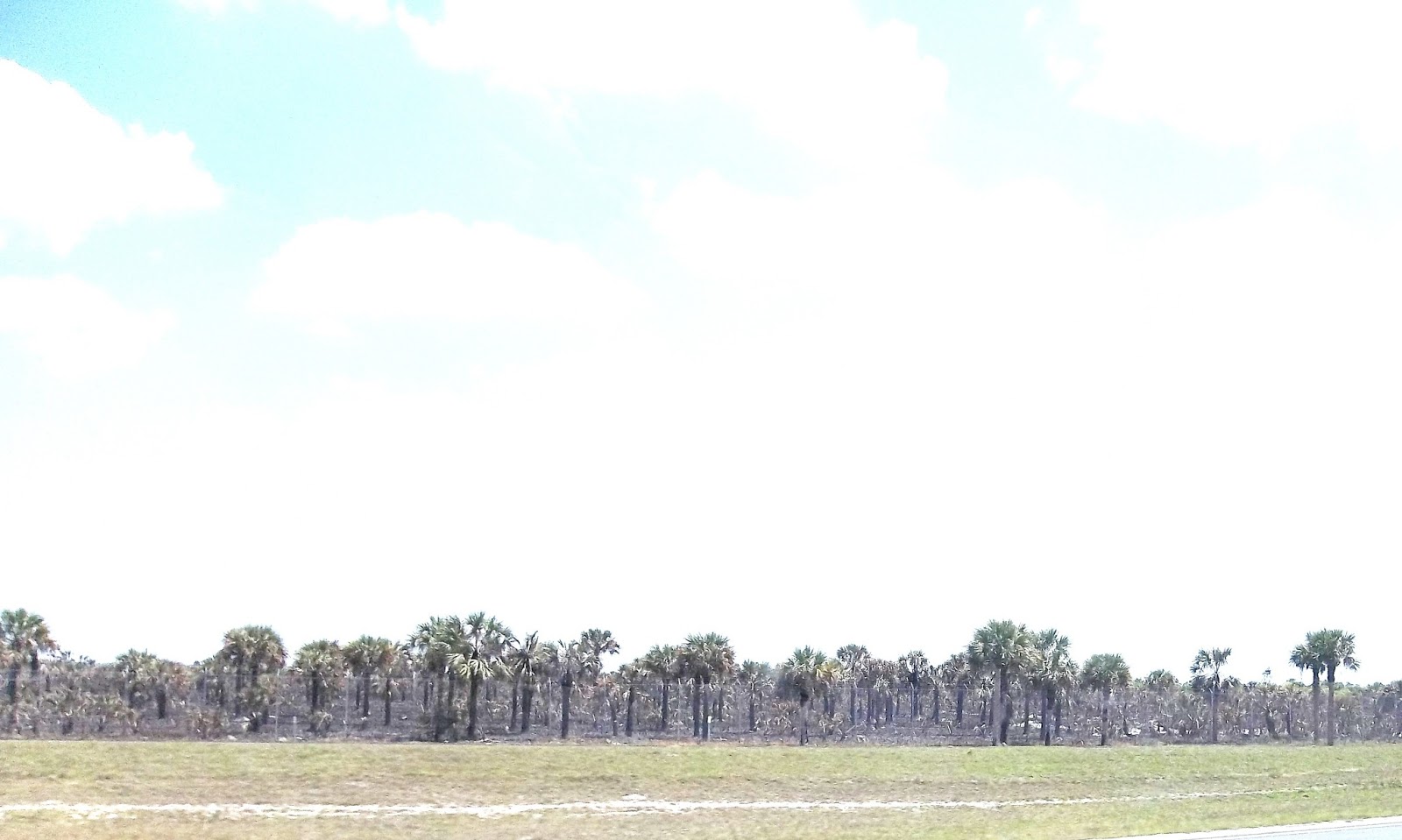 Evergladeslady: FIRE IN THE EVERGLADES!! Swamp Buggy Fire Truck; April 2013