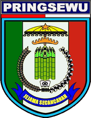 NAFIS PAGELARAN GROUP: LOGO PRINGSEWU BARU