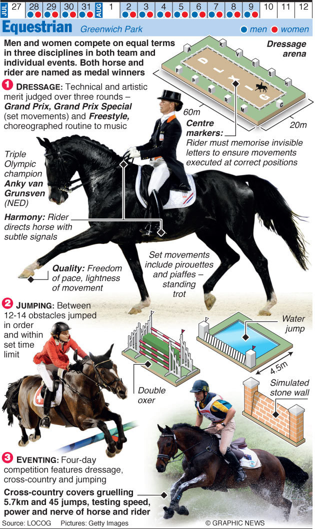 An Illustrated History Of Equestrian Sports at Tawana Tibbs blog