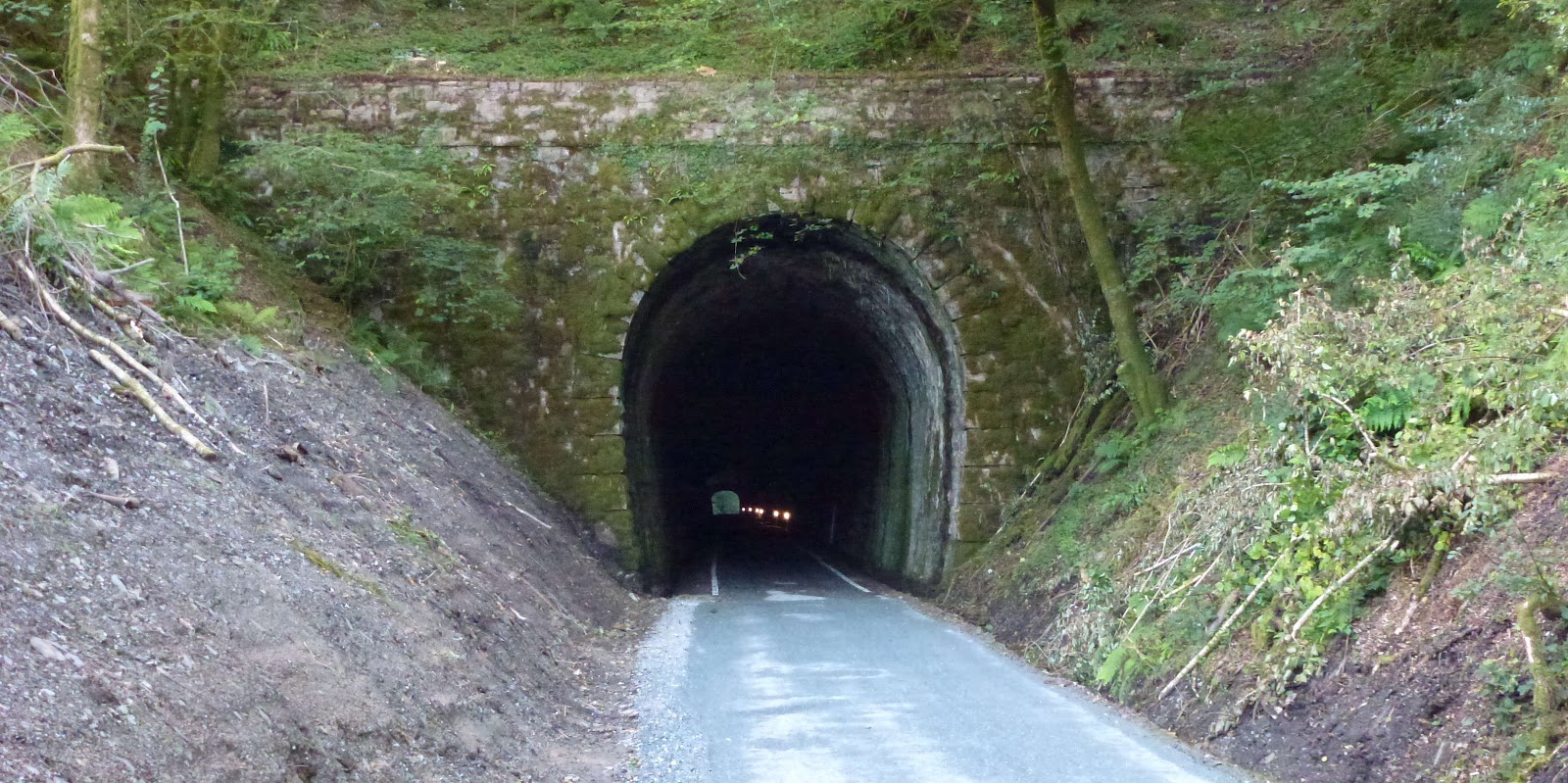 My Dartmoor Walks: Wednesday 5th September Gem Bridge and Grenofen ...