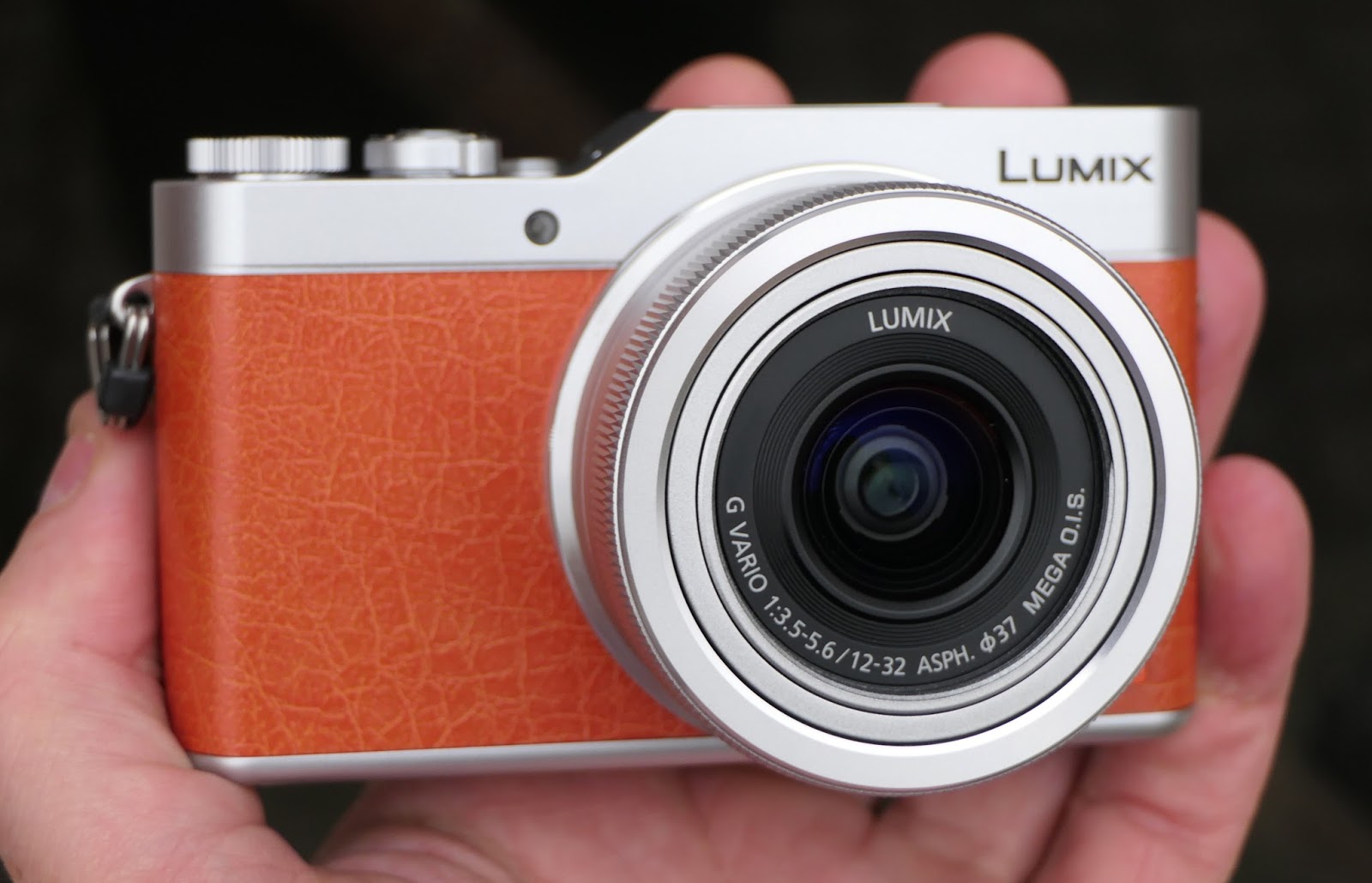 Panasonic GX800