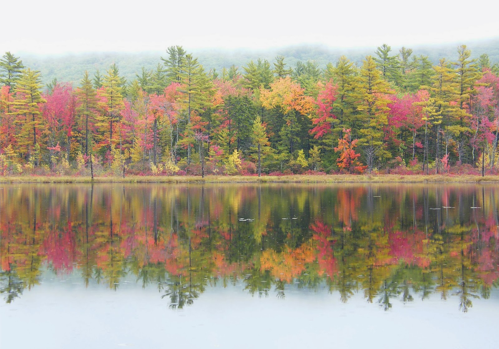EL PAISAJE PERFECTO: Capturando paisajes minimalistas