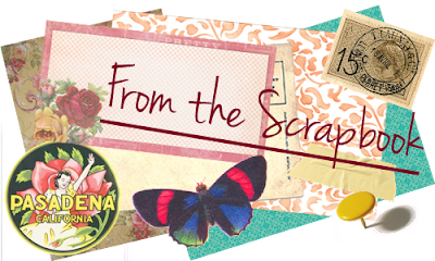 Three Little Búhos: From the Scrapbook #4