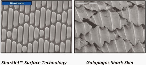 Biomimicry Design: Inspired by Nature: Sharklet: The Antimicrobial ...
