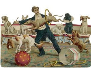 Good Dog! Training: Circus Dogs!