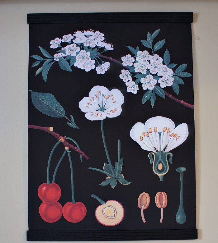 Fifty Two Weekends of DIY: Art for the Kitchen - A Black Botanical Print