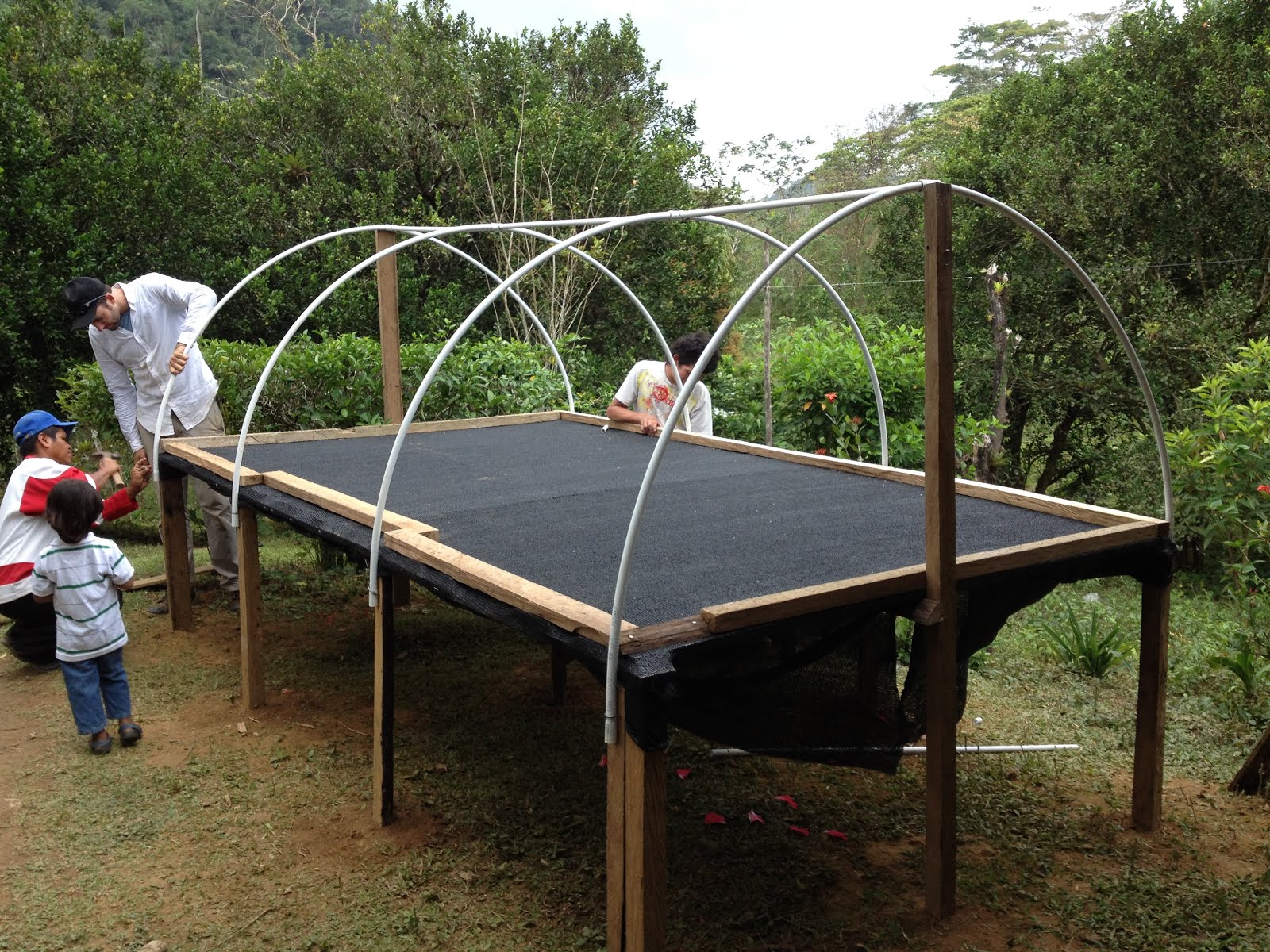 Adventures to a Sustainable Future: Coffee Solar Dryer Project