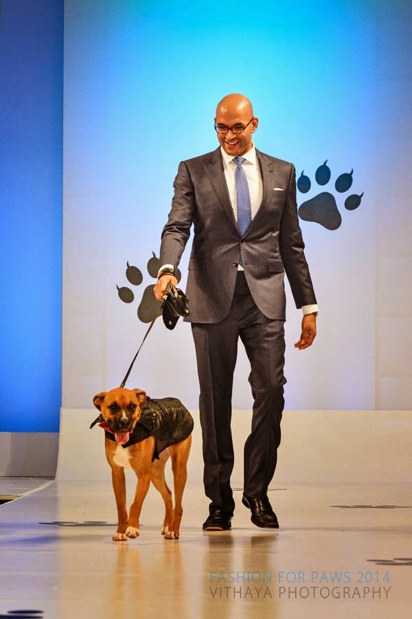 VITHAYA PHOTOGRAPHY: Fashion for Paws 2014
