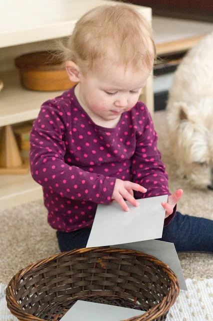 Montessori Toddler Classification Cards with Printable